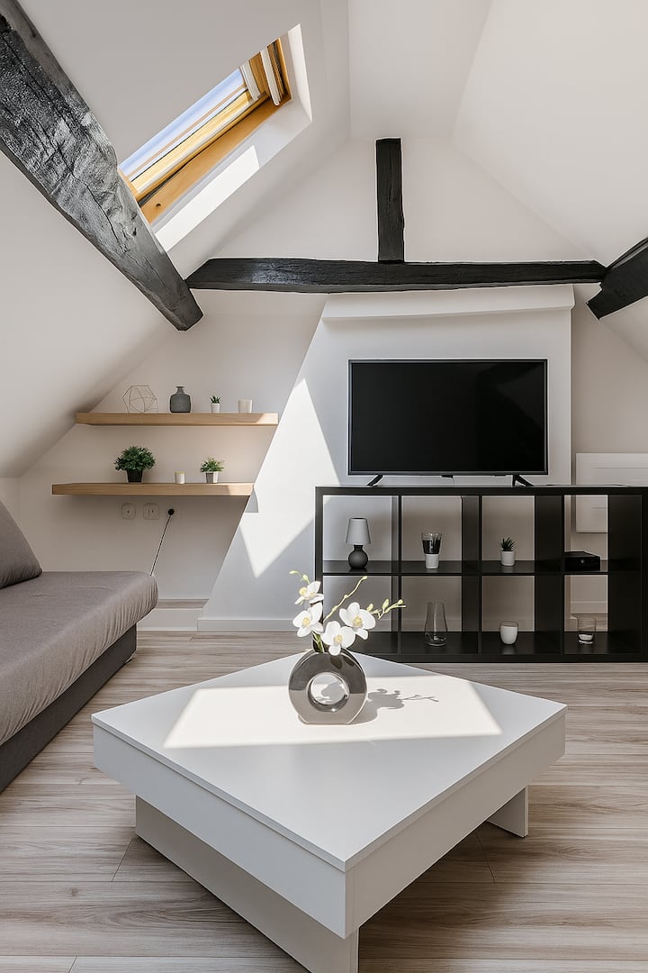 Duplex Studio Proche Aéroport Cdg Paris Astérix - Roissy-en-France