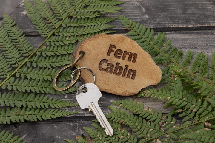 Fern | Family Cabin | Hot Tub | Greenway - Tramore