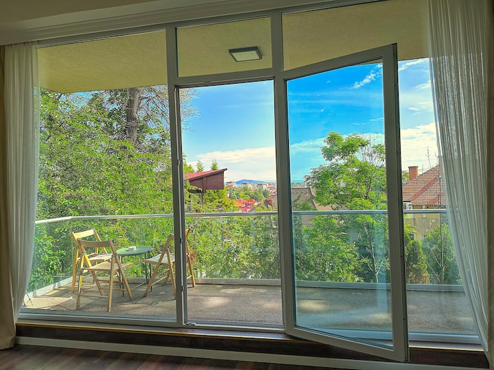 Central Maximus Apartment - Weidenbach