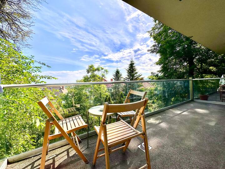 Central Maximus Apartment - Brașov