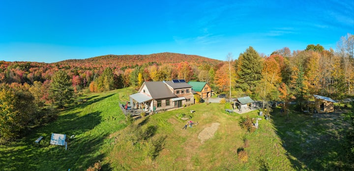Treetop Retreat - Montpelier