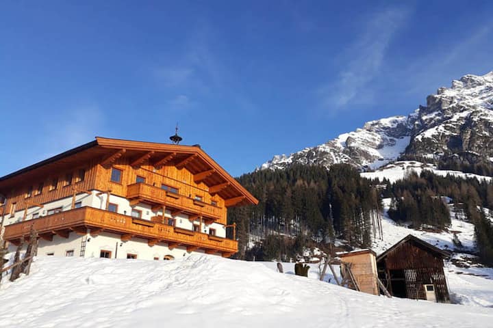 Wohnung "Birnhorn" - Leogang