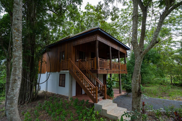 Wooden House Mountain View - Camboya