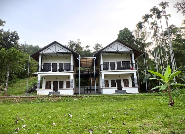 Caffeine Beans - Wayanad