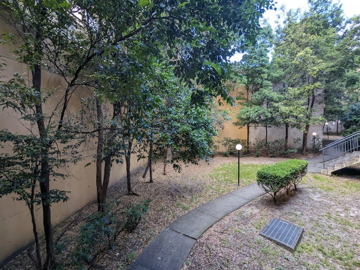 Strathfield Sanctuary-spacious With Leafy Outlook - Burwood