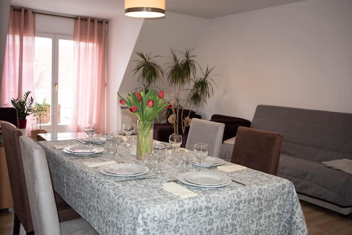 App T3 Proche Centre Strasbg - 4 Lits / 7 Voy. - Strazburg