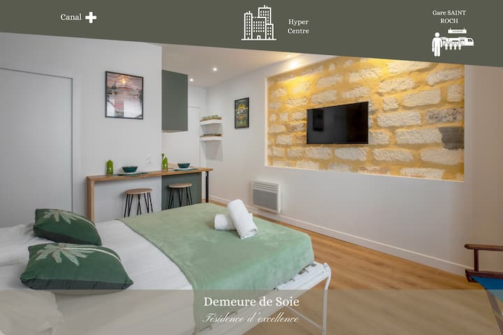 "La Toile" ~ Somptueux Studio Calme Et Cosy - Montpellier