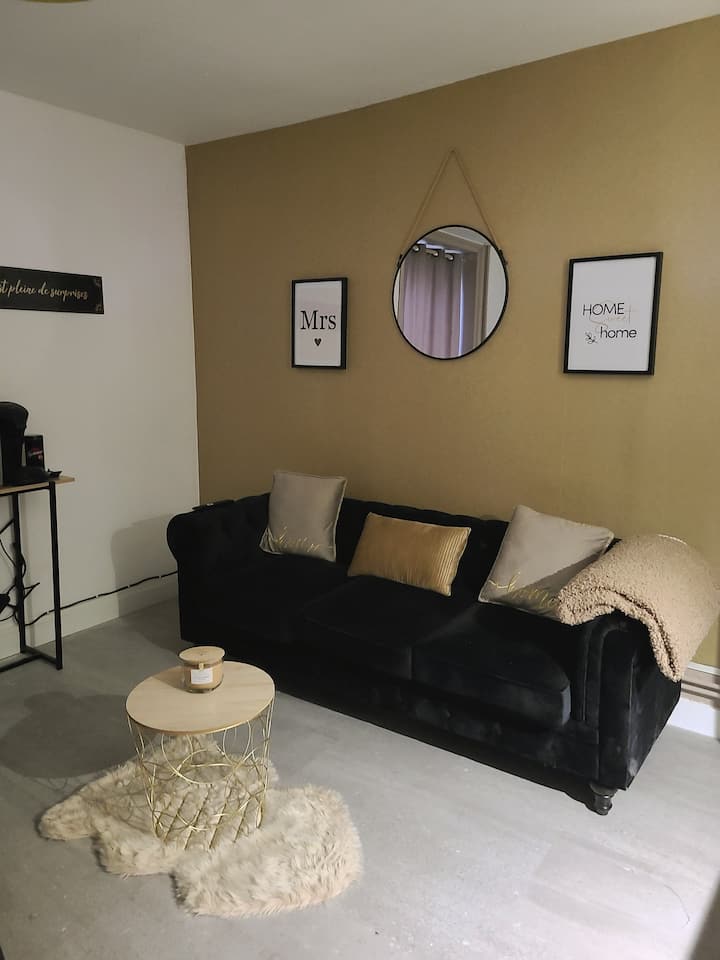 Bel Appartement En Centre-ville - Ibis Villefranche Sur Saone