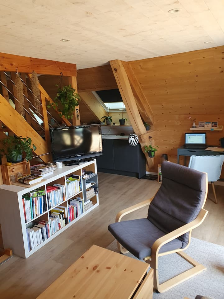 Maison Cosy Bois•entre Lacs Et Montagnes•annecyaix - Rumilly