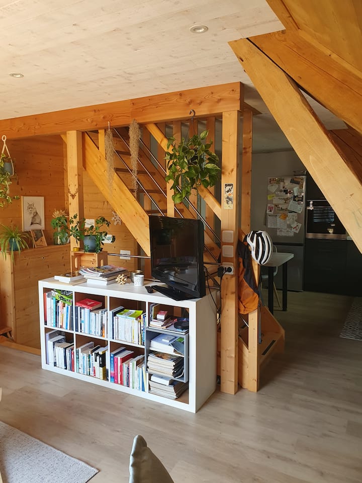 Maison Cosy Bois•entre Lacs Et Montagnes•annecyaix - Rumilly