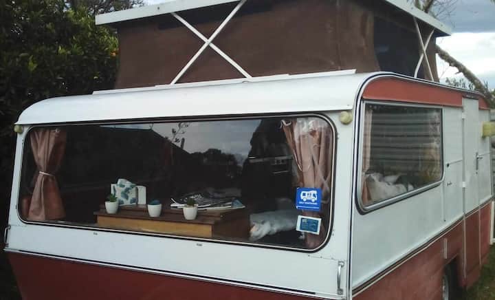 Blissful Rental Caravan Hire And Bnb - Motueka