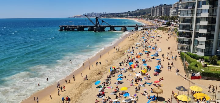 Departamento En La Playa De Viña - Viña del Mar