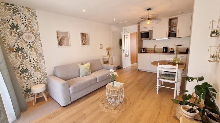 Parking Gratuit/plain Pied/climatisé /Les Castors - 카르카손