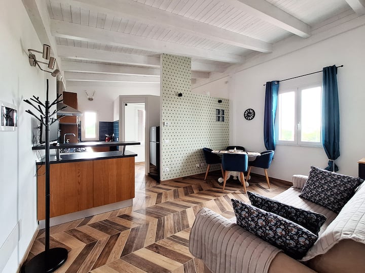 Penthouse "Cherry House" Metro A - Rome