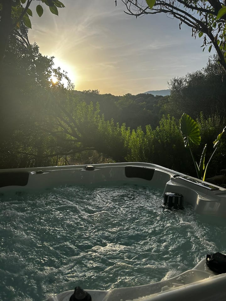 Villa L'albizia Accès Privée Rivière - Korsika