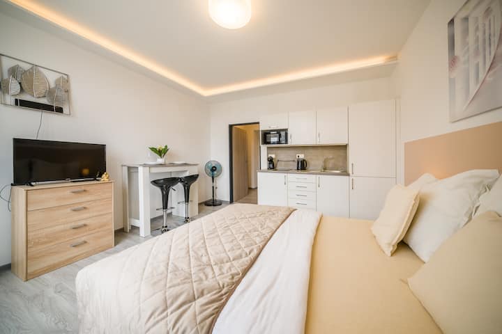 Apartment Brno Center 403 - Brno