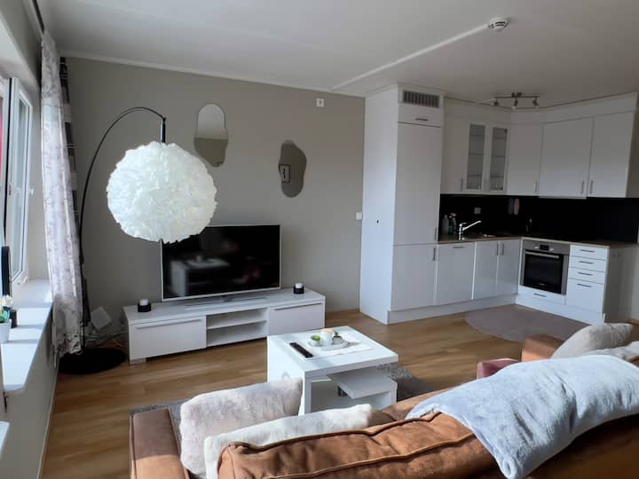 Flott 1-roms Leilighet - Tromsø