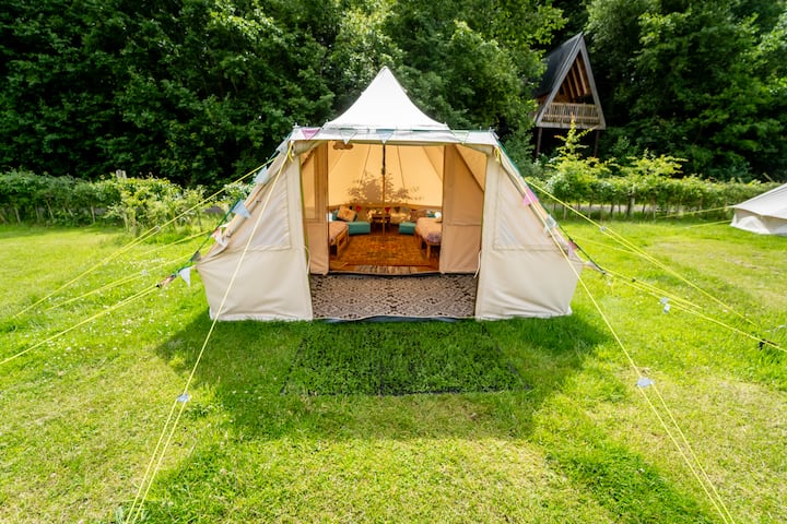 Field Bell Tent 3 - Maple - Norwich