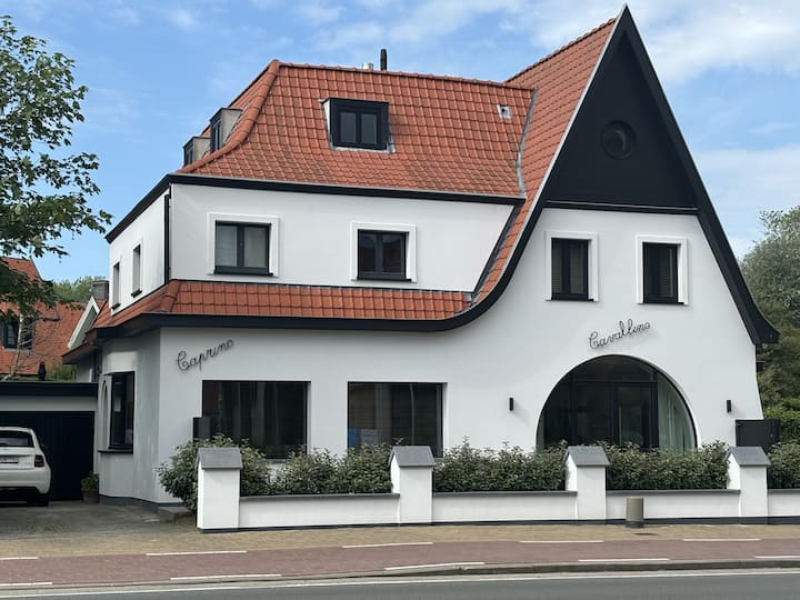 Caprino - 1 Guestroom - Blankenberge