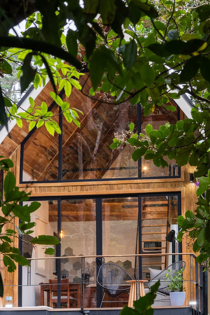 Higueron Lodge - Colibrí - Bajos del Toro