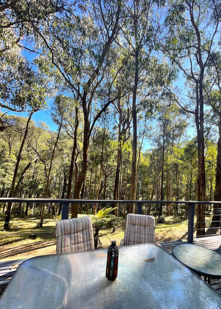 Cosy Mountain Cottage On 2 Forest Acres By A River - Yarra Ranges National Park