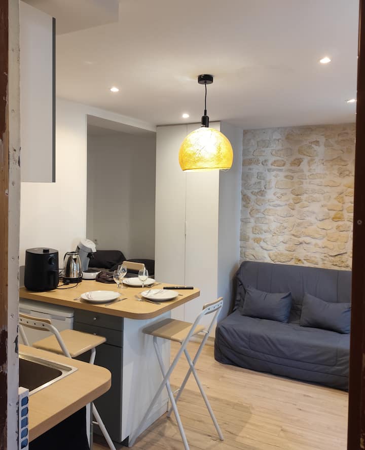 Magnifique Studio Lumineux Proche De Paris - Malakoff