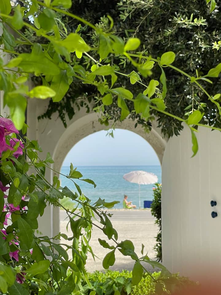 Margherita  Fucsia Vista Giardino - Rodi Garganico