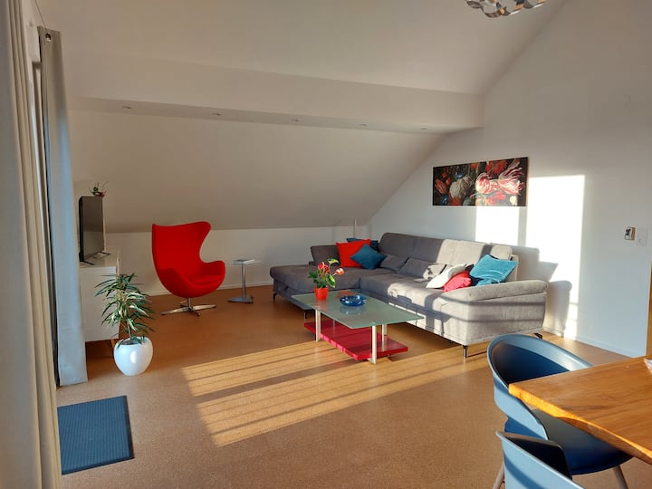 R7 Bodensee With Lake View Sunny Quiet Large - Uhldingen-Mühlhofen