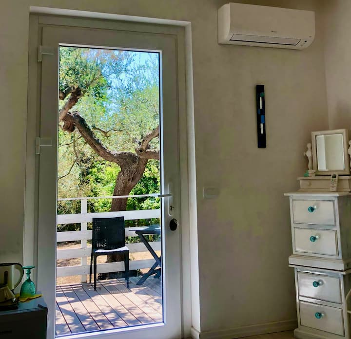 Casa Phoenix ; Olive Garden Room - Molise