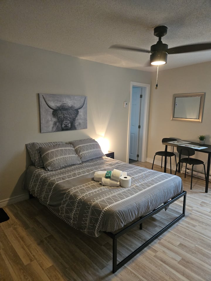 Beautiful Furnished Studio, Downtown Hull (101-6b) - Ottawa