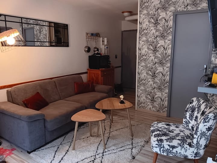 Appartement Eyne  Pied Des Piste - Err