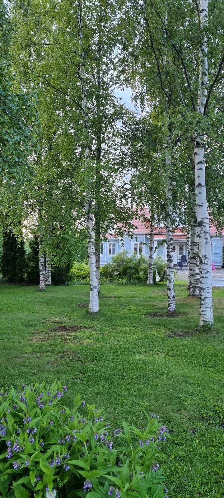 Room In Hulmi, Laihia
Easy Access To Vaasa City - Vaasa