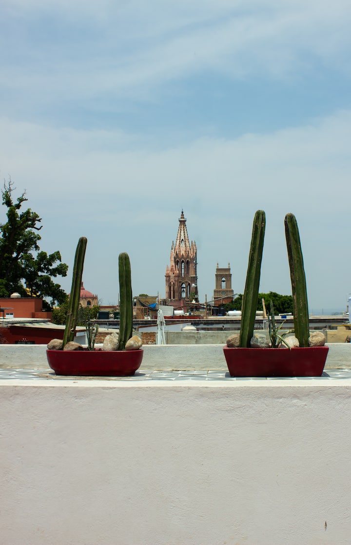 100-yr Loft + Rooftop (1 Block From Cathedral) - San Miguel de Allende