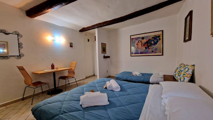 Appartamento Centro Firenze (Piazza Santa Croce) - Florenz