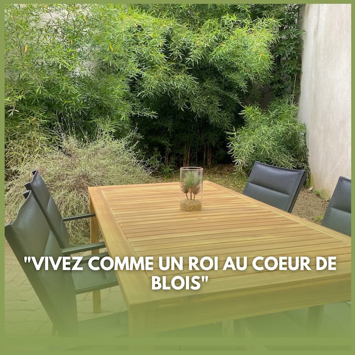 Le Nid Des Rois - Terrasse En Hyper Centre - ibis Styles Blois Centre Gare