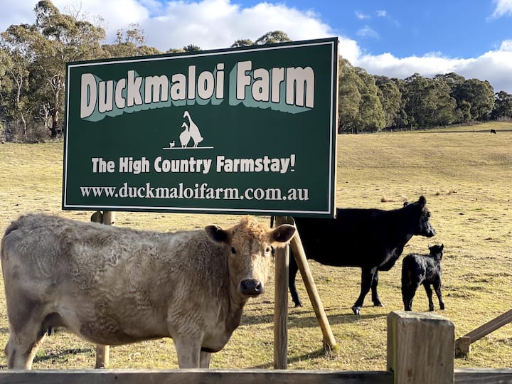 Duckmaloi Farm Wombat Cottage - Jenolan