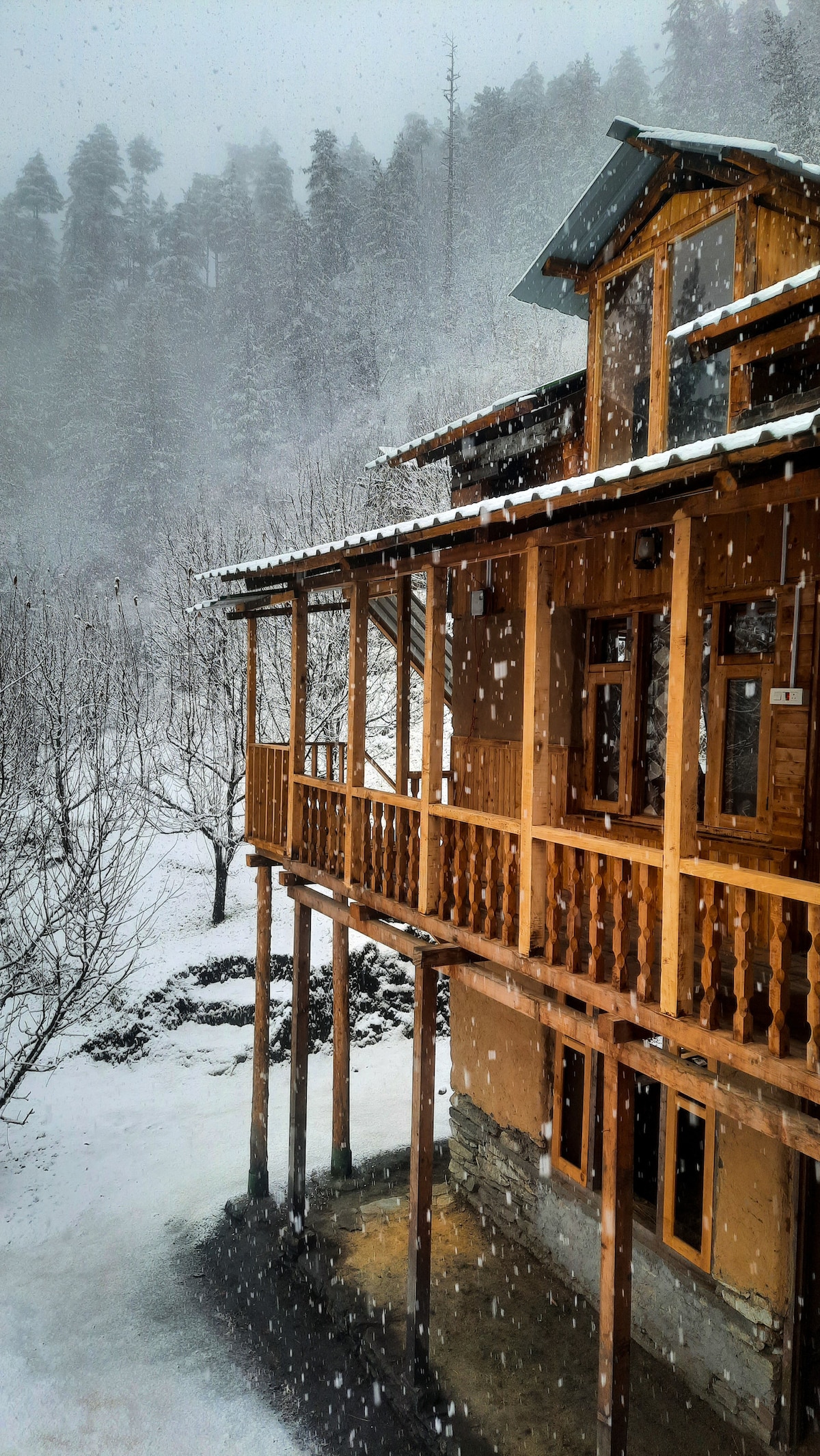 Huerto de manzanos|Granja-2|Jibhi|Río100m| Hoguera - Estancias en una ...