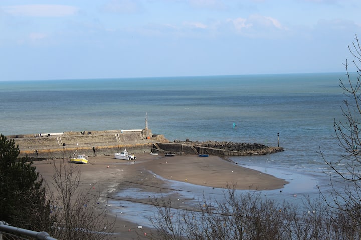 Ground Floor Apartment, New Quay - New Quay