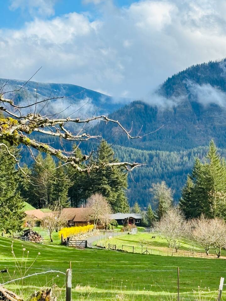 Greenhouse: River Vista, Country Haven - Carson, WA