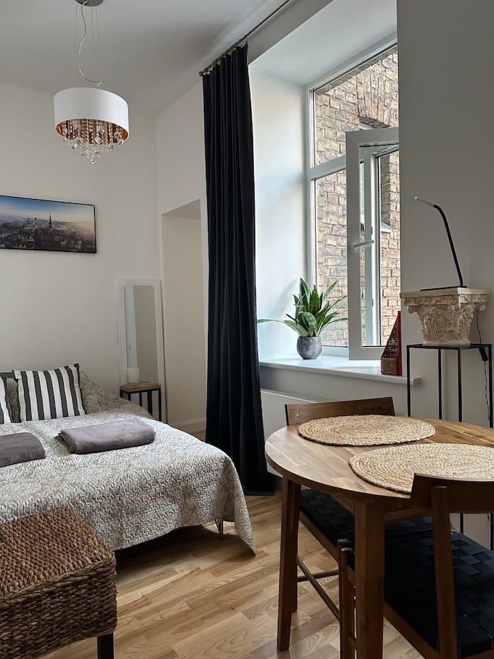 Small Studio Apartment In The Center Of Riga - Riga