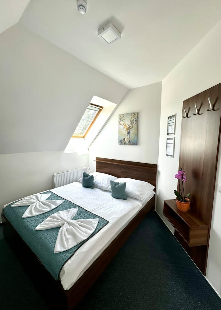 301 Economy Třílůžkový Pokoj - Luhačovice