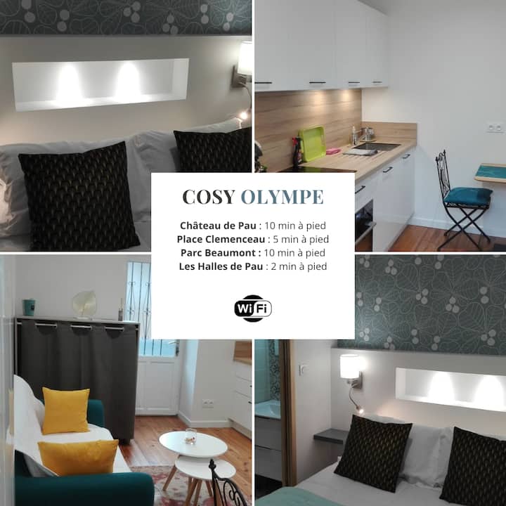 Cosy Olympe - T1 - Centre - Quartier Des Halles - Pau