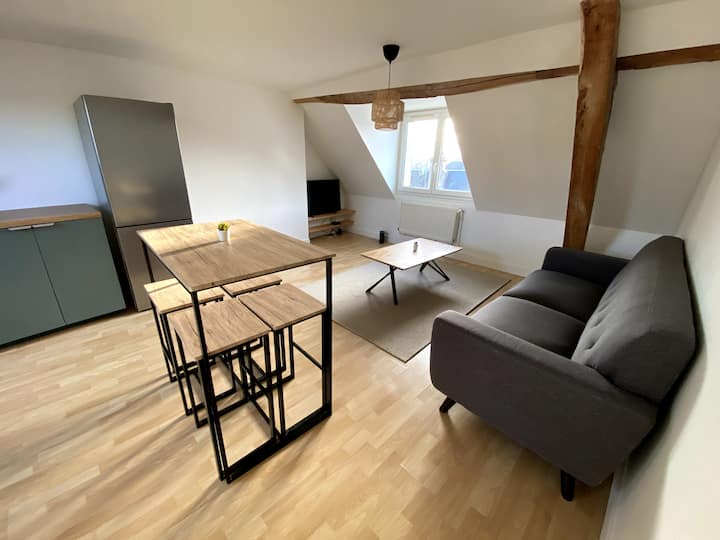 Appartement Neuf En Plein Centre De Beaugency - Beaugency