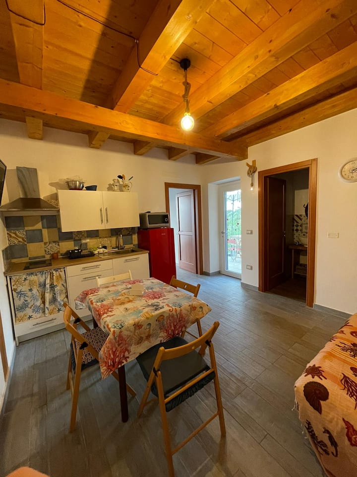Casa La Zagara Appartamento Ciappina - Palmi