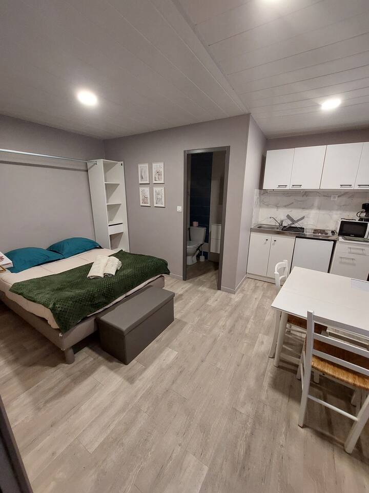 En Centre Ville, Rez De Chaussée Studio éQuipé. - Saint-Affrique