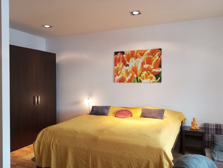 Großzügige Suite In Der Nähe Der Rheinaue - Bonn