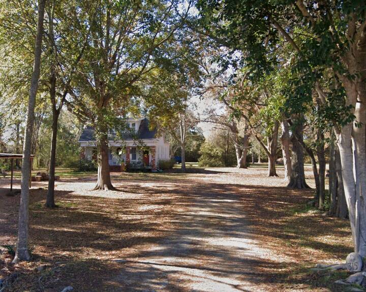 Hardtner House- 2 Park-like Acres Of Fall Beauty. - Alexandria, LA