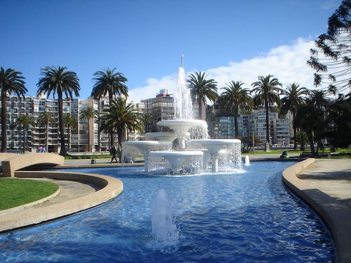 Departamento En Viña Del Mar, A Pasos De Todo - Viña del Mar
