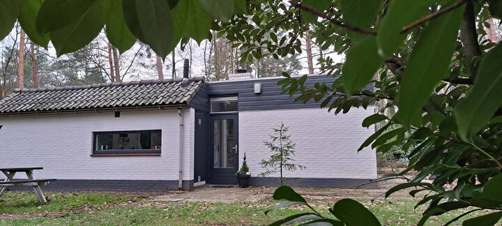 Vakantiewoning Babbel - Lochem
