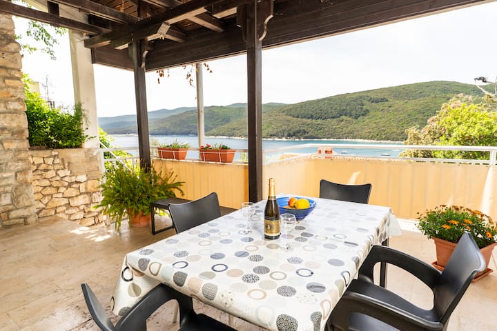 1 Bdr Apartment With Sea View,pets Welcome - Rabac